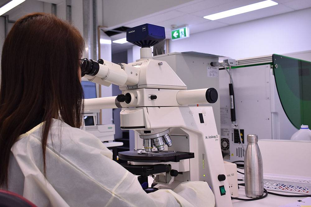 Bulk Billing Pathology Craigieburn | Pathology Collection Centres